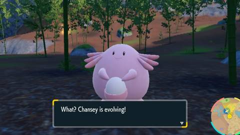 chansey evolution line