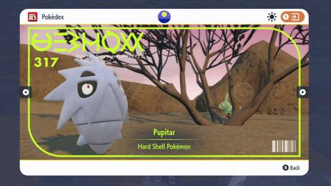 larvitar evolution violet