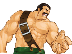 Rumor: Mike Haggar Set to Appear in Marvel vs. Capcom 3?