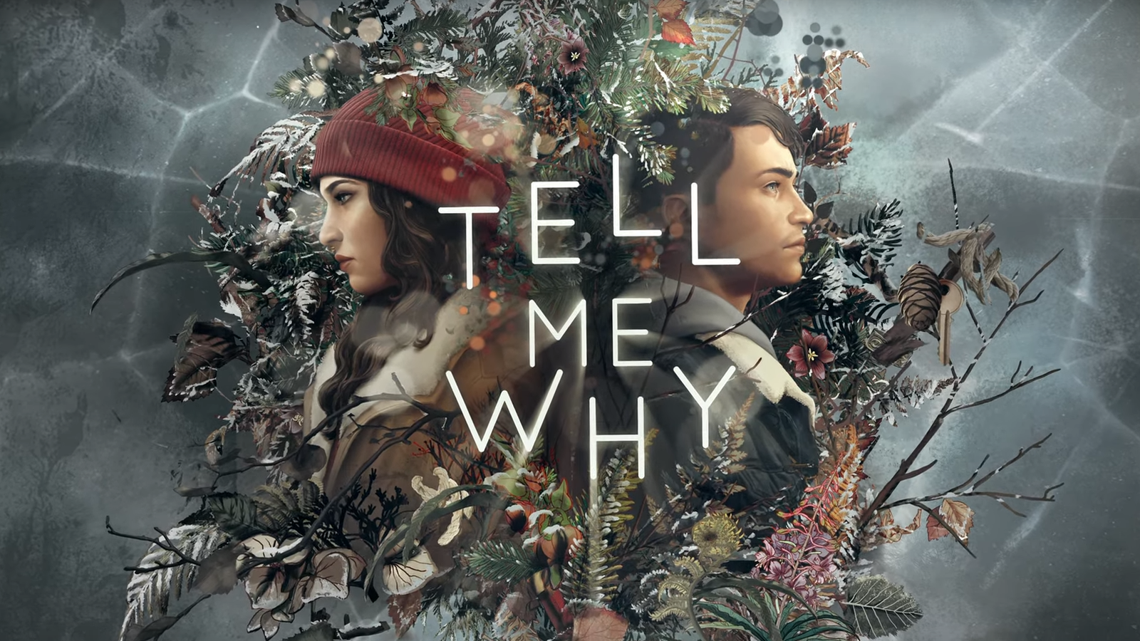Tell Me Why Review — Searching for Transparency