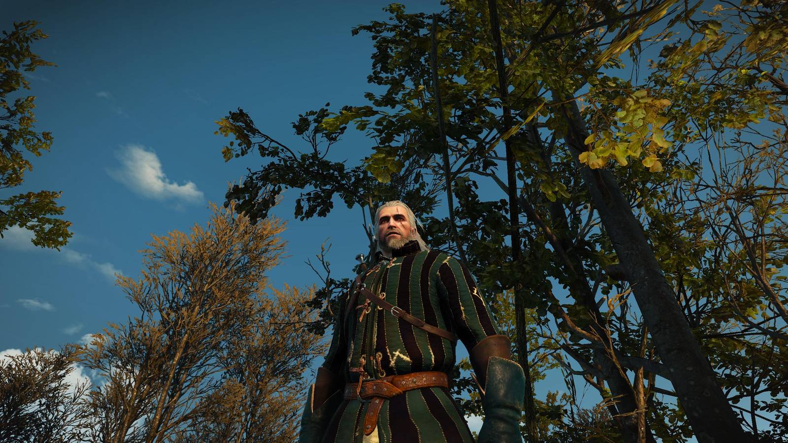 The Witcher: Centuries-Old Trees in Poland Now Named After Characters ...