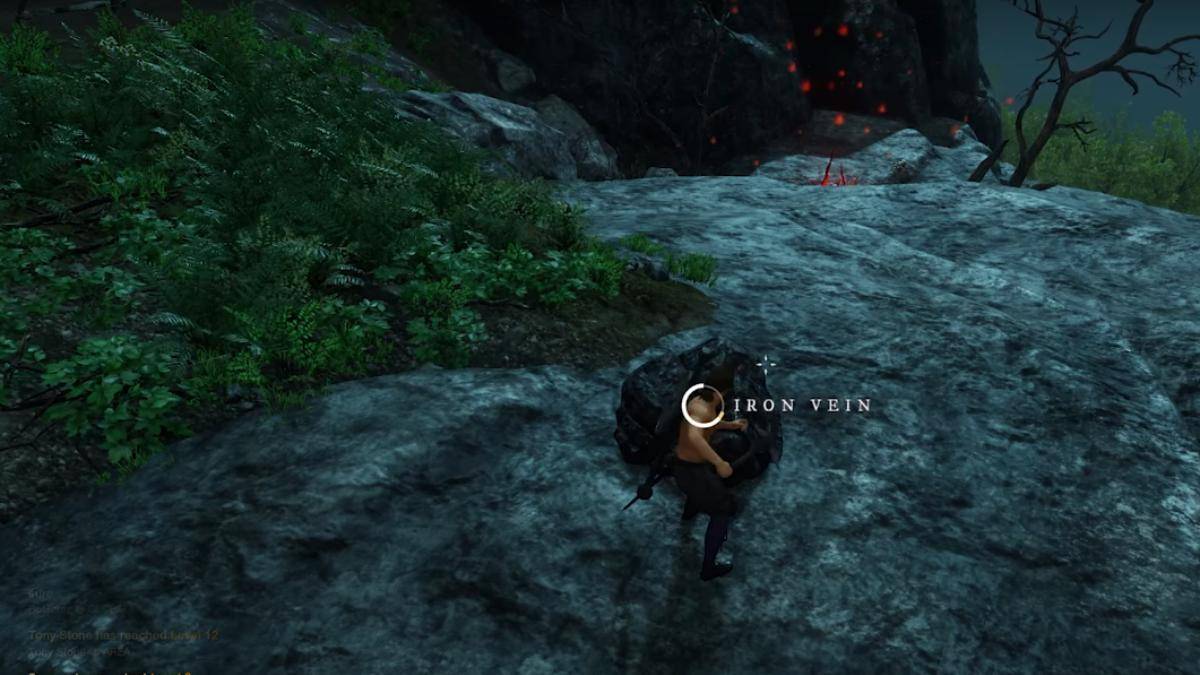 New World - Iron Ore Locations And How To Find Them