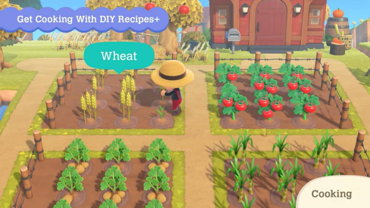 How To Get Wheat In Animal Crossing New Horizons
