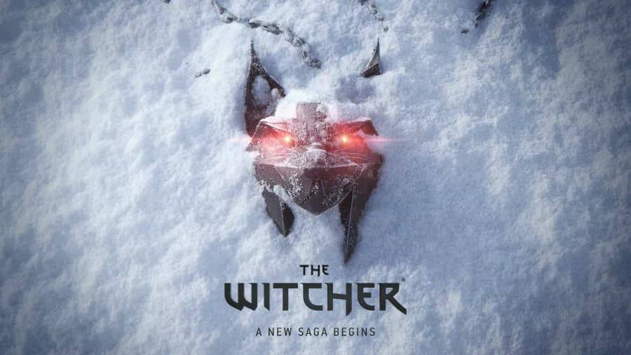 All Witcher Schools & School of Cat, Lynx Medallion Explained