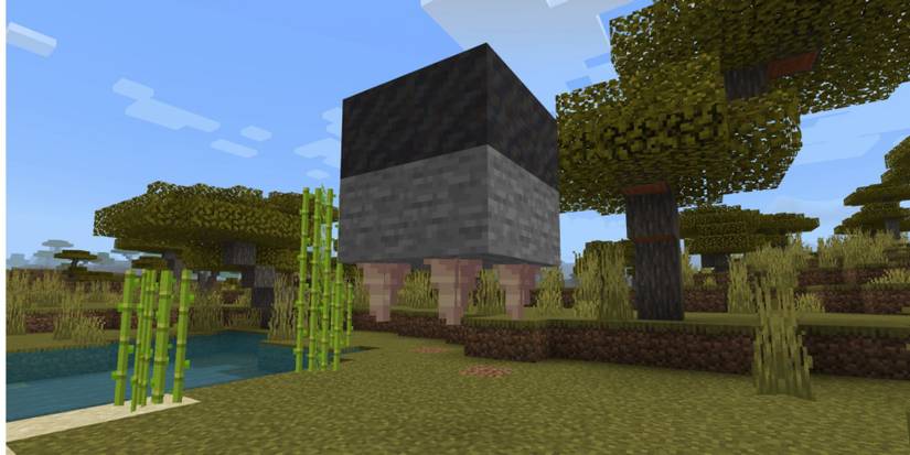 Minecraft: How To Make Mud