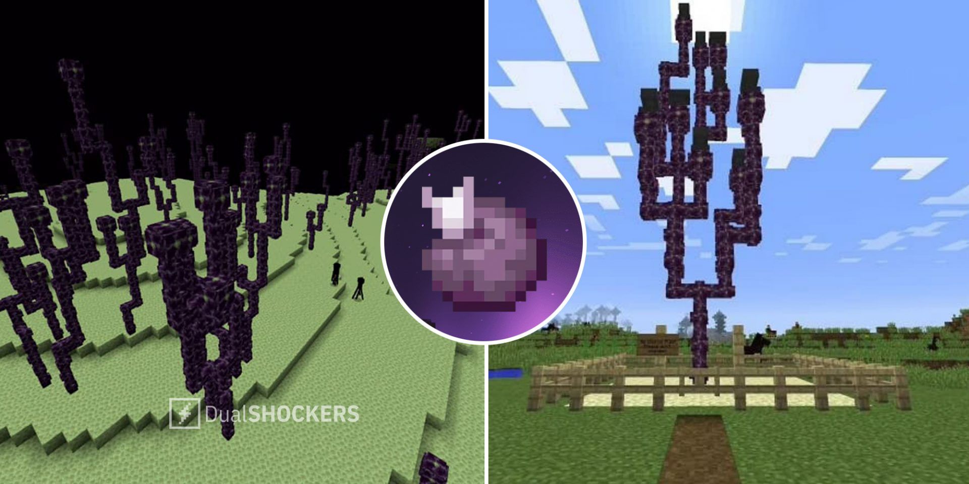 Minecraft Chorus Fruit: How To Farm And What They're Used For