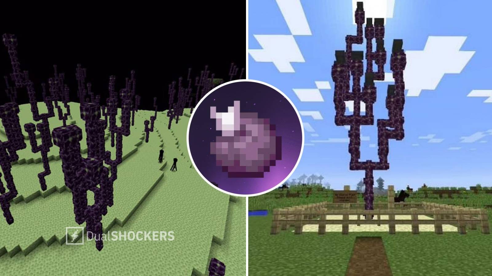 Minecraft Chorus Fruit: How To Farm And What They're Used For