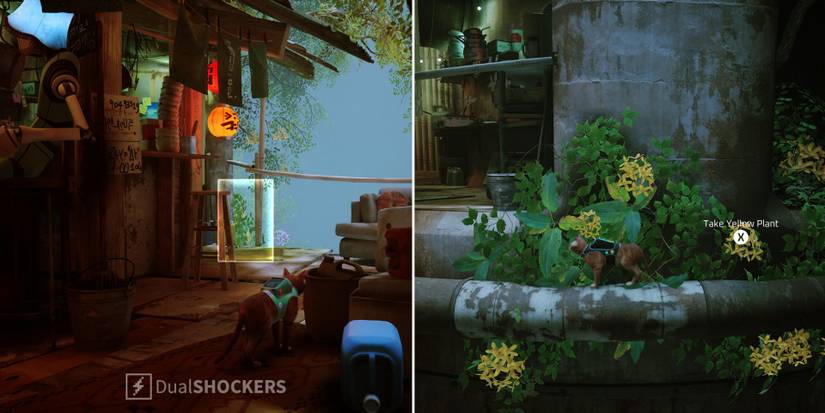 Stray: Where To Find Red Plant, Purple Plant, Yellow Plant