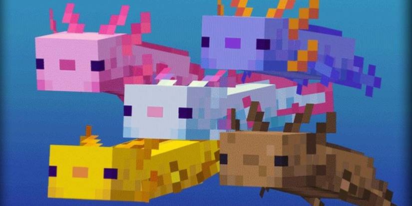 Minecraft: Axolotl Locations and Farming Guide