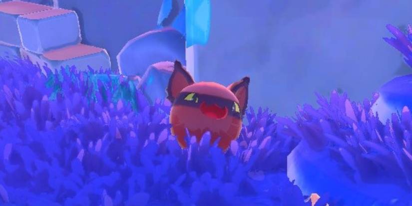 Slime Rancher 2: Basic Slimes Guide