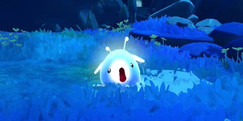 Slime Rancher 2: Basic Slimes Guide