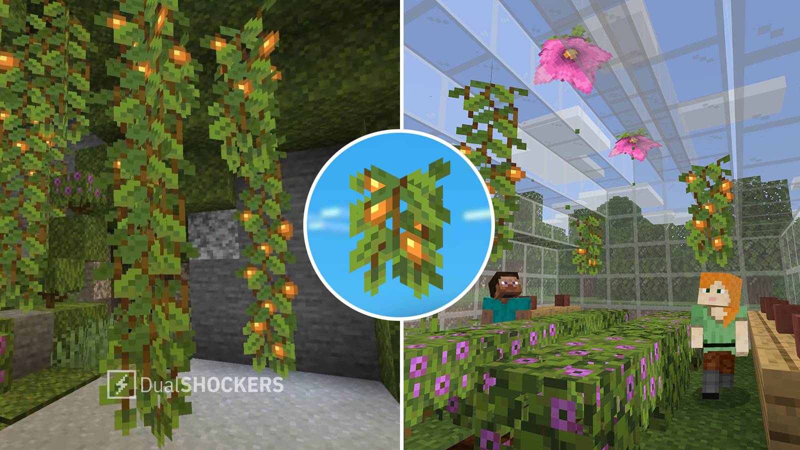 Minecraft: How To Farm Glow Berries