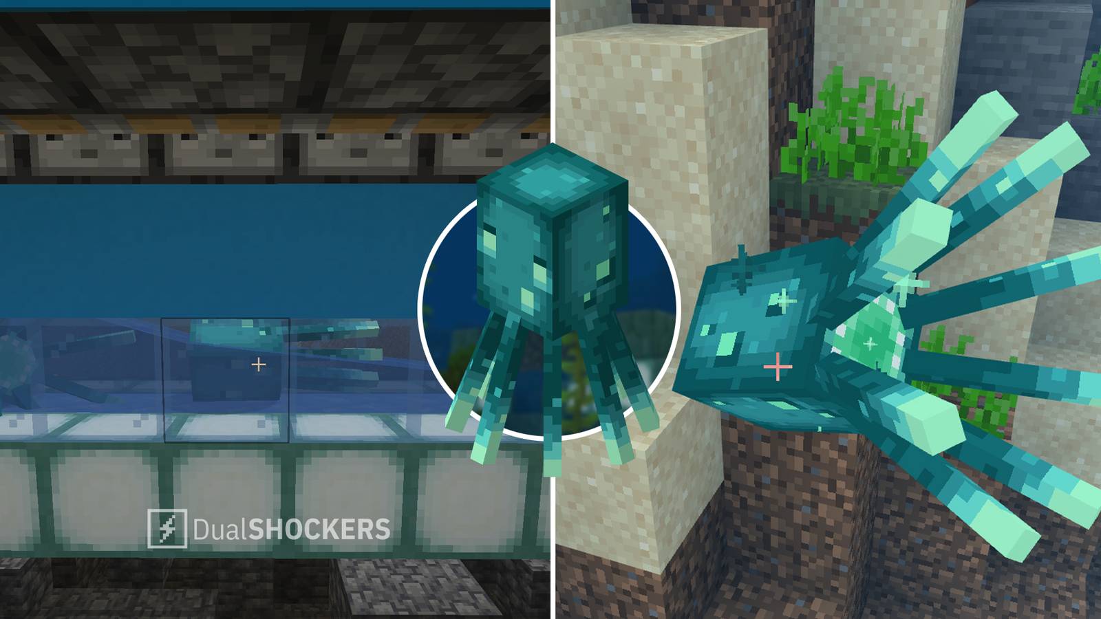 Minecraft: How To Farm Glow Squid