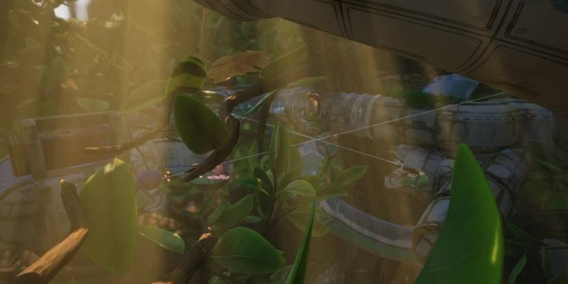 Grounded: How To Find And Defeat The Hedge Broodmother