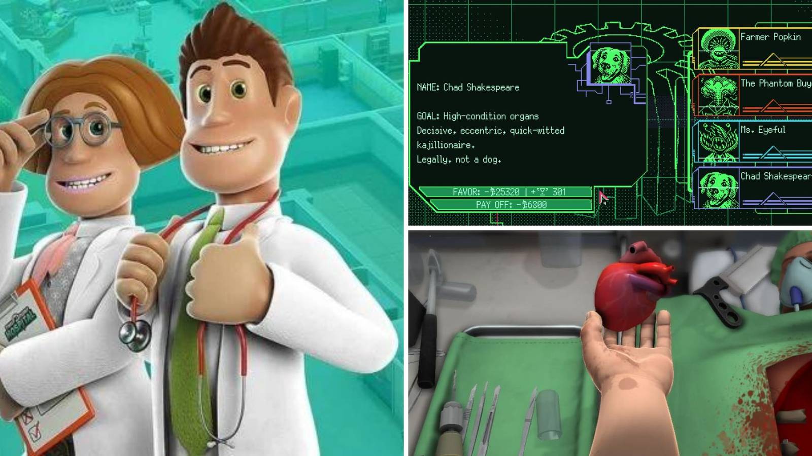 Playing Doctor: 11 Best Medical Simulator Games, Ranked