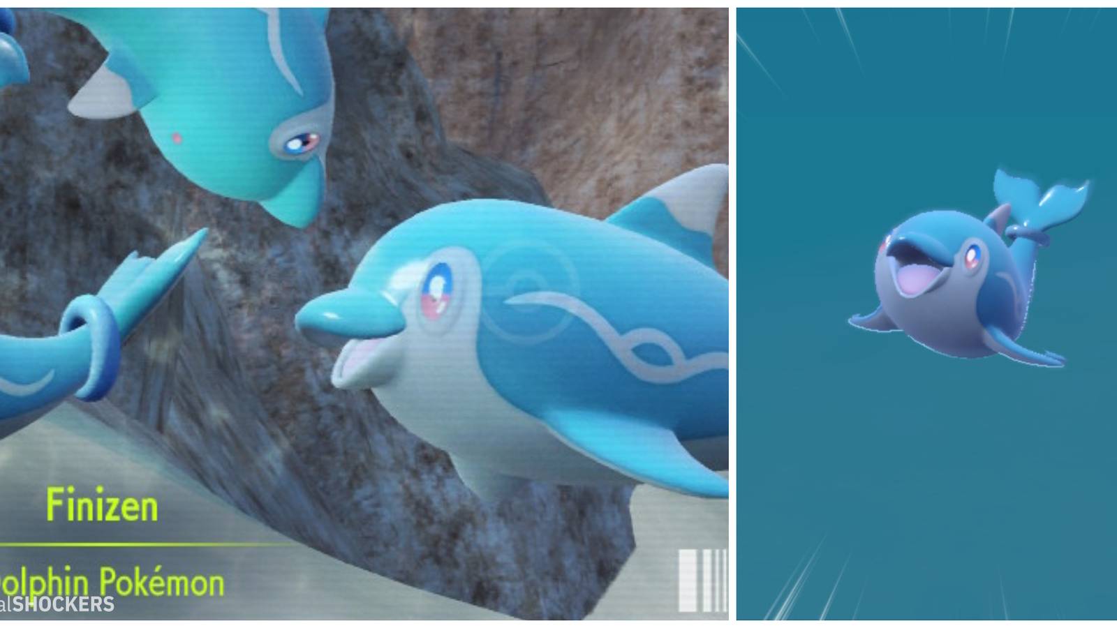 Pokemon Scarlet & Violet: How To Find Finizen & Evolve Into Palafin