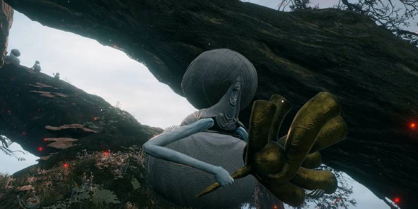 Elden Ring: 13 Rarest Items In The Game, Ranked