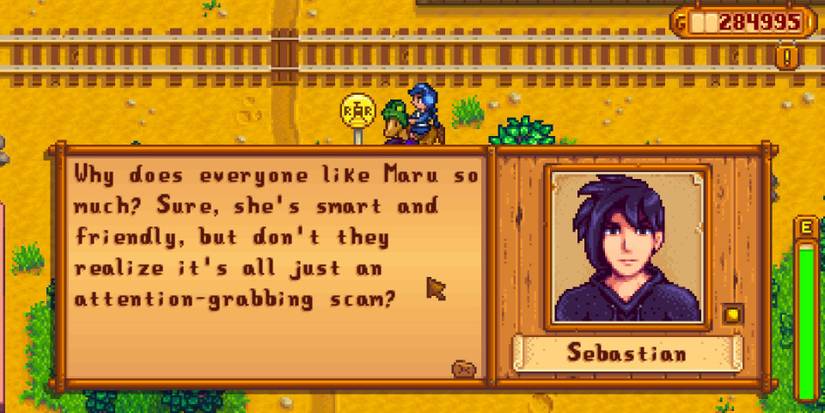 Stardew Valley: How To Romance Sebastian