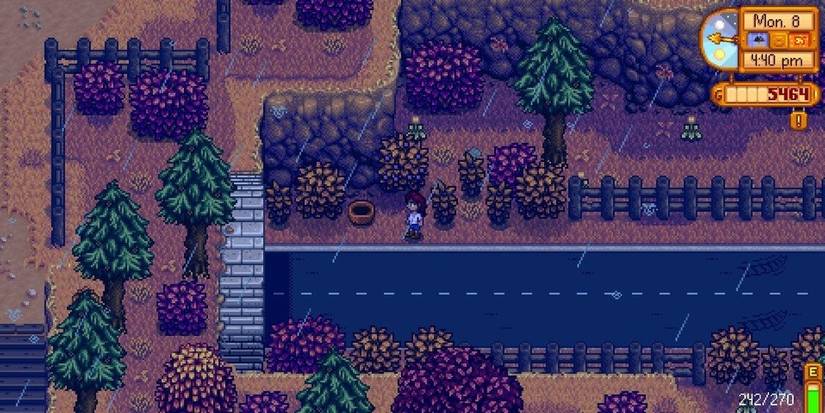 Stardew Valley: Where Is Linus' Basket?