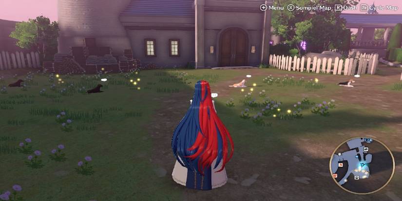 Fire Emblem Engage: Where To Find & Adopt Pets