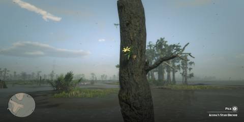 Red Dead Redemption 2: All Exotics Locations