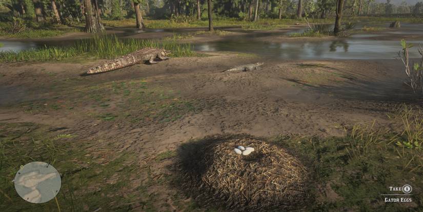 Red Dead Redemption 2: All Exotics Locations