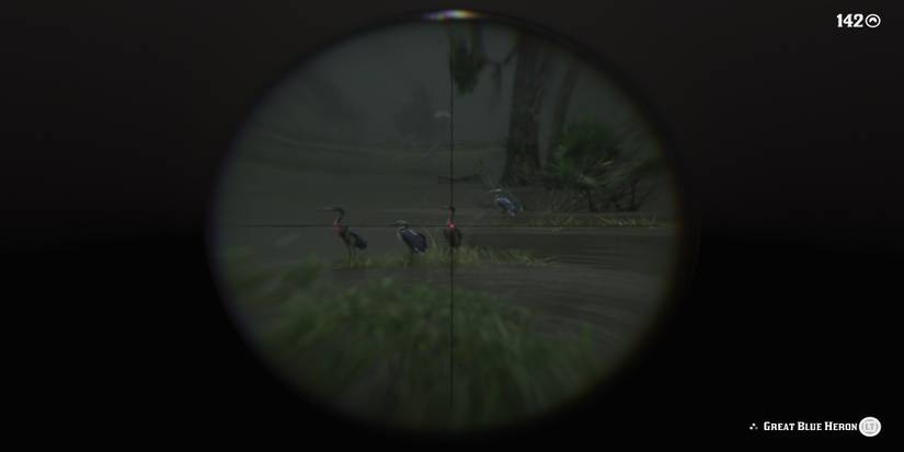 Red Dead Redemption 2: All Exotics Locations