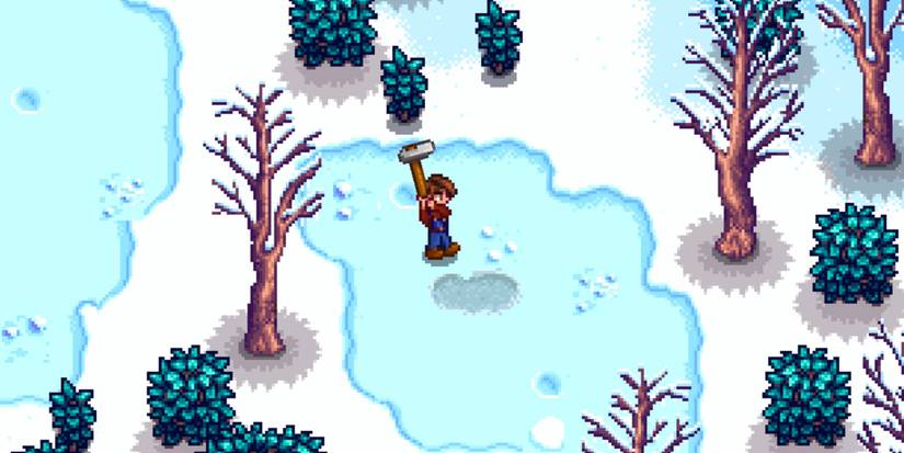Stardew Valley: How To Get & Use Snow Yam