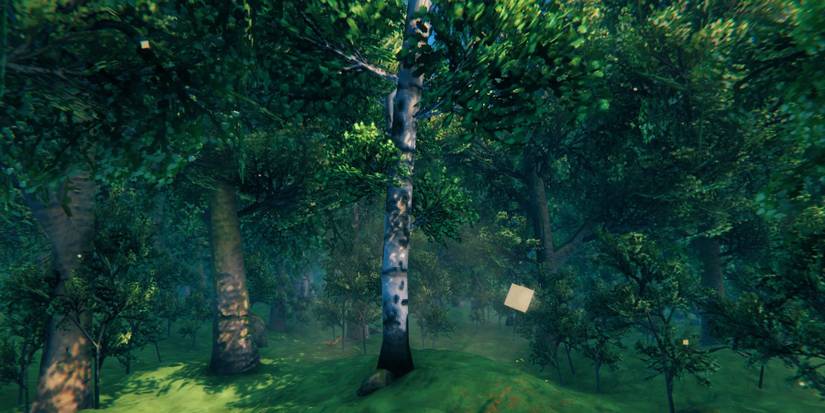 Valheim: How To Build & Use A Cartography Table