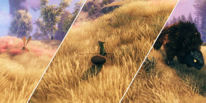 Valheim: How To Survive The Plains