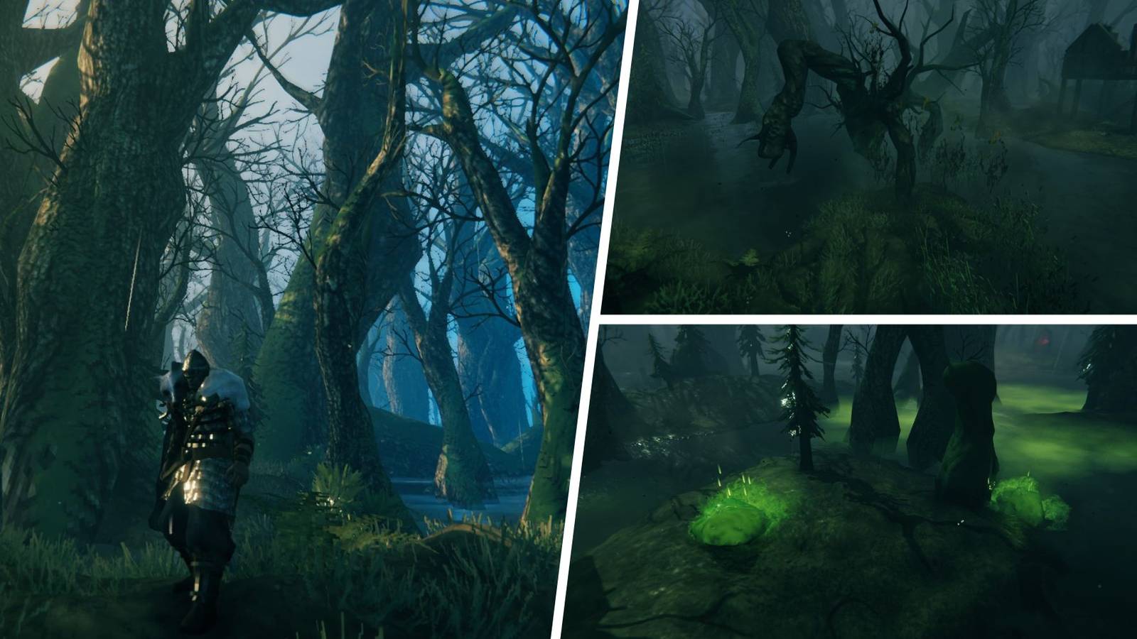 Valheim: How To Survive The Swamps