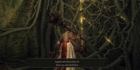 Elden Ring: What To Do After Beating Morgott