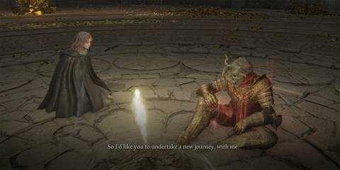 Elden Ring: What To Do After Beating Morgott