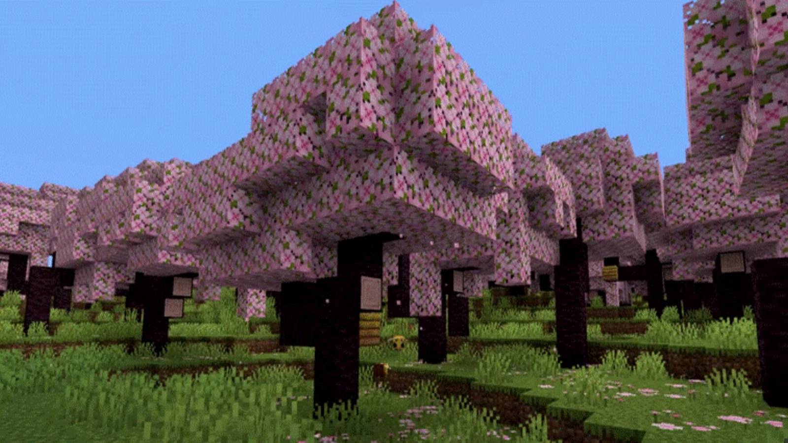Minecraft To Receive Cherry Blossom Biome In Update 1.20