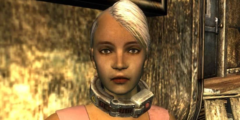 Fallout 3: Every Companion, Ranked