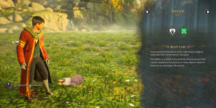 Hogwarts Legacy: Every Magical Beast To Tame, Ranked