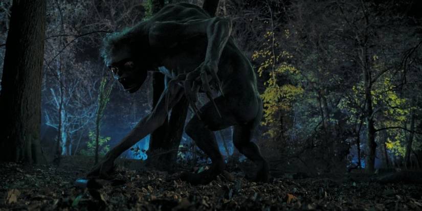 10 Things You Didn't Know About Netflix's Wednesday
