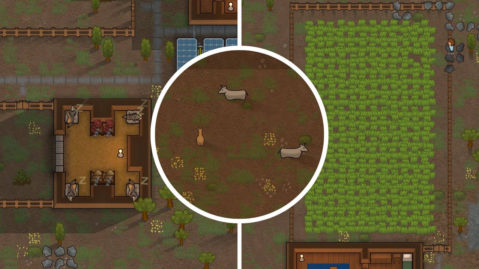 RimWorld: Animal Feeding Guide