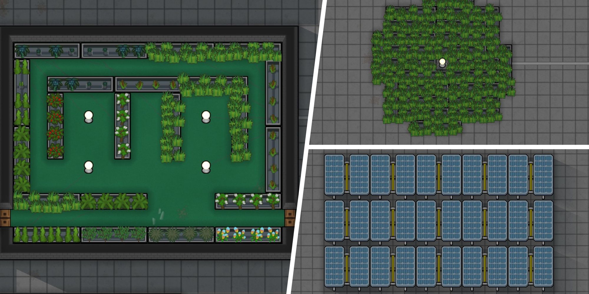 RimWorld: How To Make The Best Hydroponics Layout
