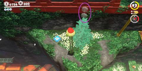 Super Mario Odyssey: All Purple Coins In The Wooded Kingdom