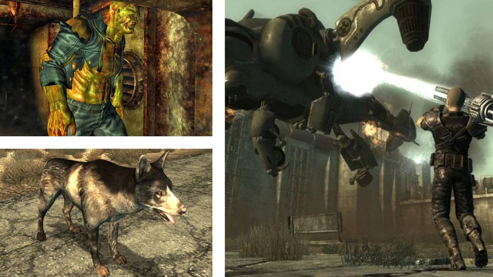 Fallout 3: Every Companion, Ranked