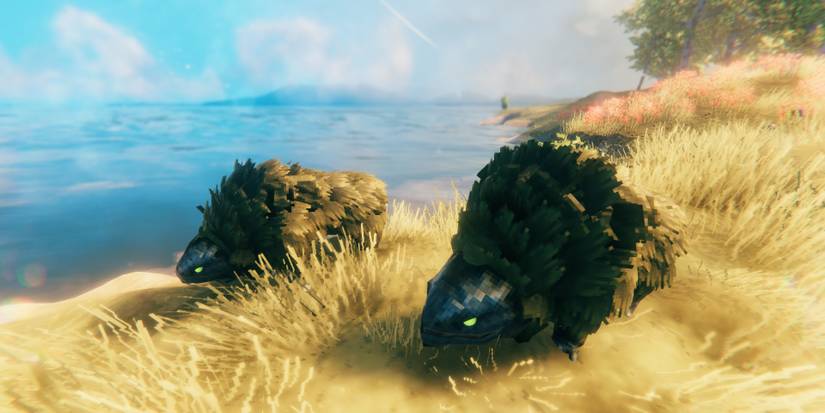 Valheim: How To Tame A Lox