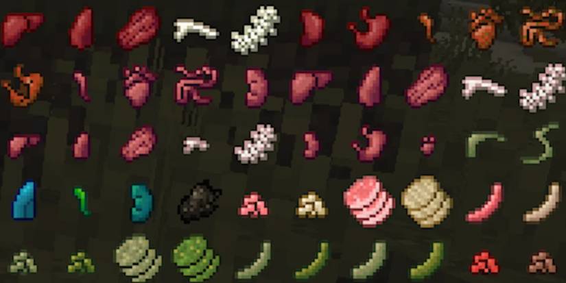 Minecraft: Surgery Mod Installation Guide