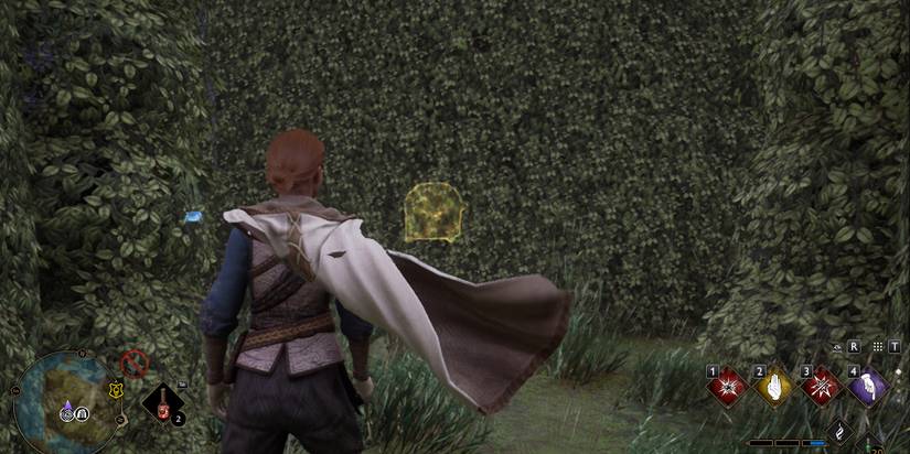Hogwarts Legacy: Hedge Maze Puzzle Guide