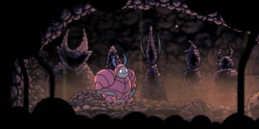 Hollow Knight: 10 Best Characters, Ranked