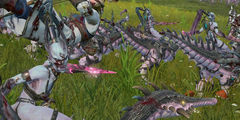 Total War: Warhammer 3 - 10 Best Slaanesh Units, Ranked