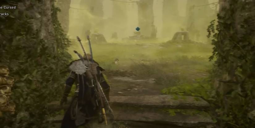 Children Of Danu Walkthrough Guide Find All Locations Assassin's Creed ...