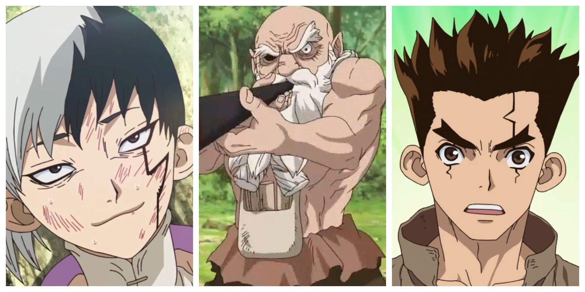Dr. Stone: 15 Best Characters, Ranked