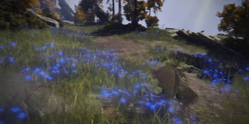 How To Find And Use The Bloodhound's Step Ash Of War In Elden Ring