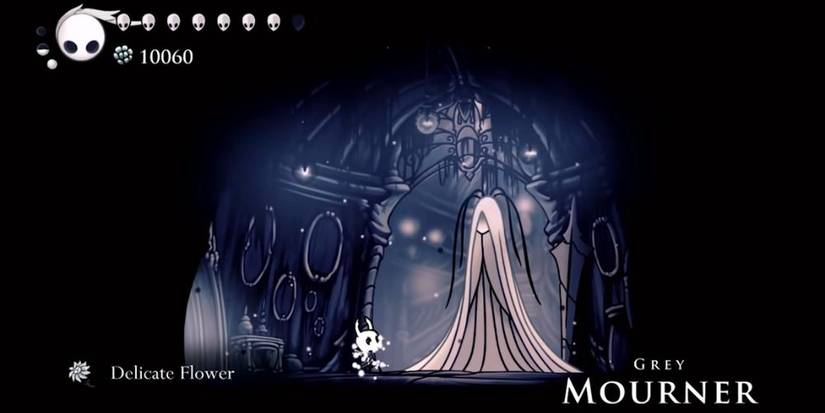 Hollow Knight: 10 Secrets You Probably Missed